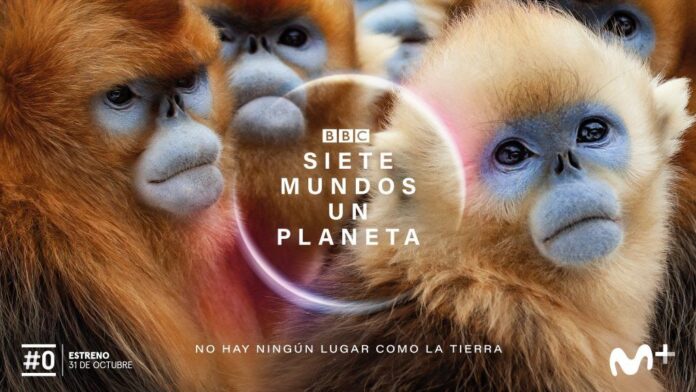 Documentales sobre la naturaleza que no puedes dejar de ver